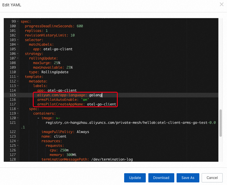 Monitor a Go application deployed in an ACK cluster - Application Real-Time Monitoring Service ...