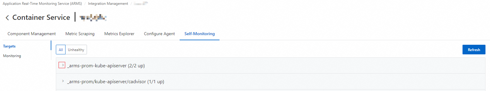 Query self-monitoring targets - Application Real-Time Monitoring Service - Alibaba Cloud ...