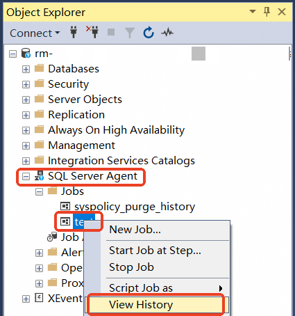 How do I manually execute jobs and view the execution records on an ApsaraDB RDS for SQL Server ...