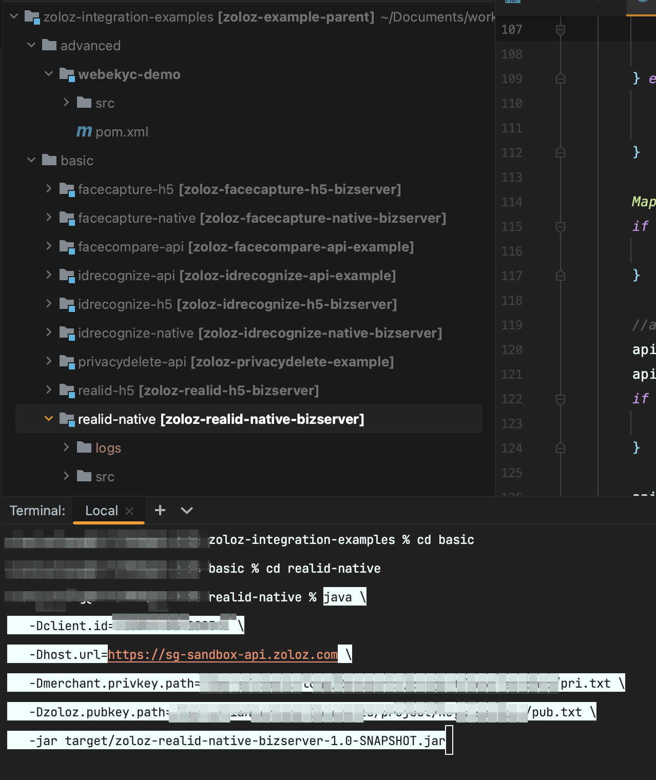 ZOLOZ eKYC SaaS FAQs - Financial Intelligence Engine - Alibaba Cloud Documentation Center