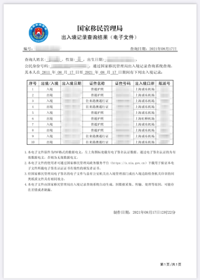 Statement of Travel Records Introduction (for SaaS) - Financial ...